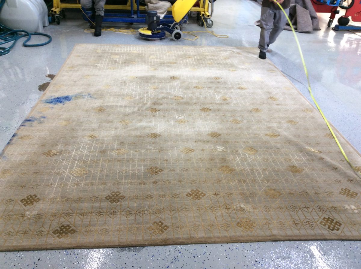Professional Rug Cleaning Service | Premier Rug Cleaning